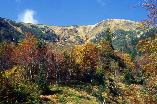 Aktivity :: Martinova bouda